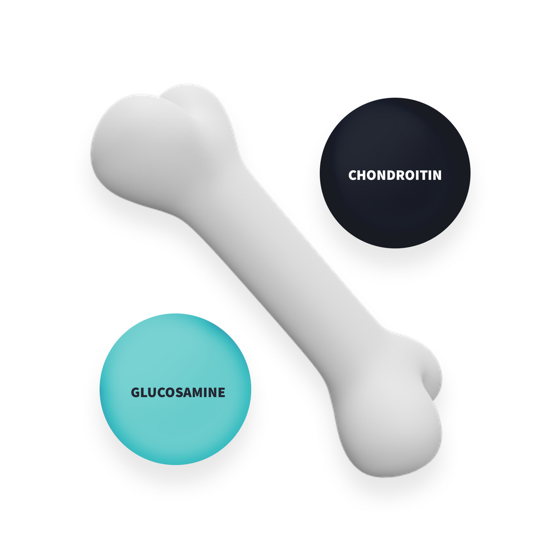 Mighty Moose Nutrition